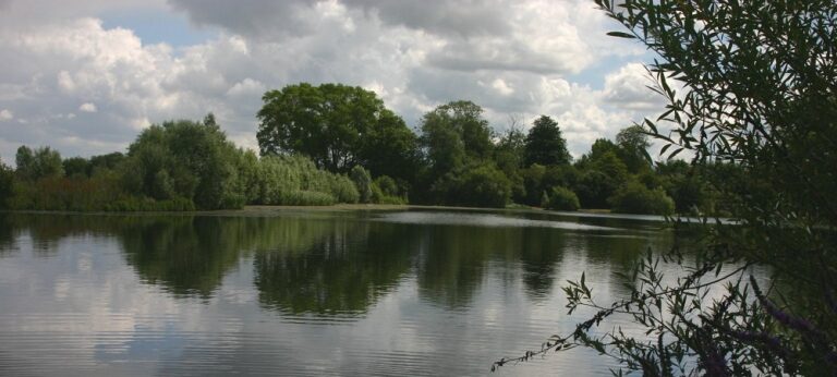 Carp Fishing In Northamptonshire: The Best Day Ticket Lakes | Carp Smart