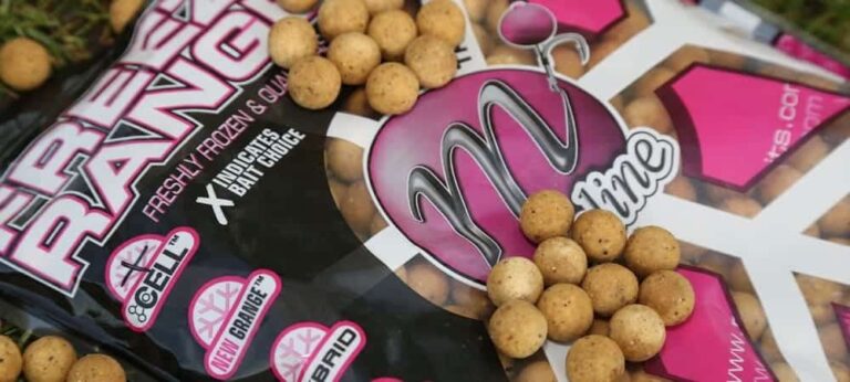 Carp Fishing Lakes, Equipment, Rigs & Bait | Carp Tips For Beginners ...