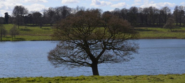 Carp Lakes Near Me: Over 500 Day Ticket Lakes – Carp Smart